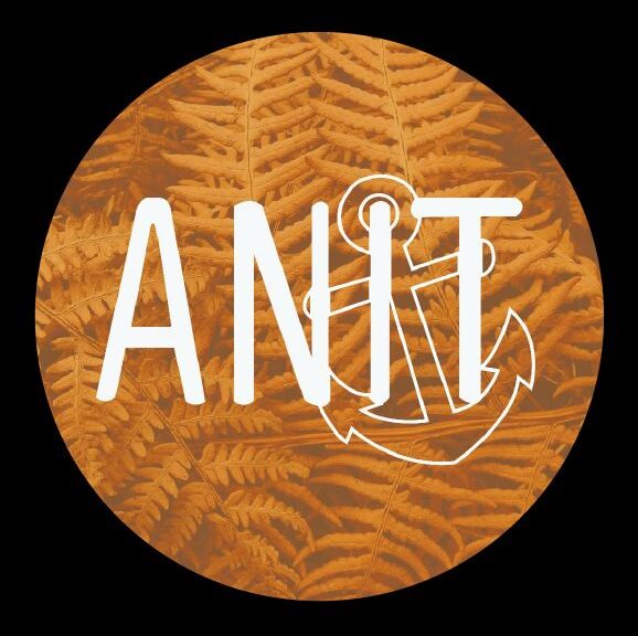 Home - ANIT Swimwear